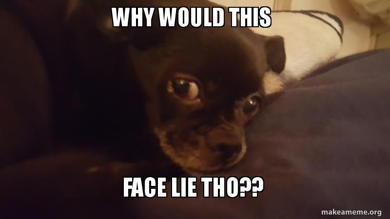 Why would this Face lie tho?? Meme Generator
