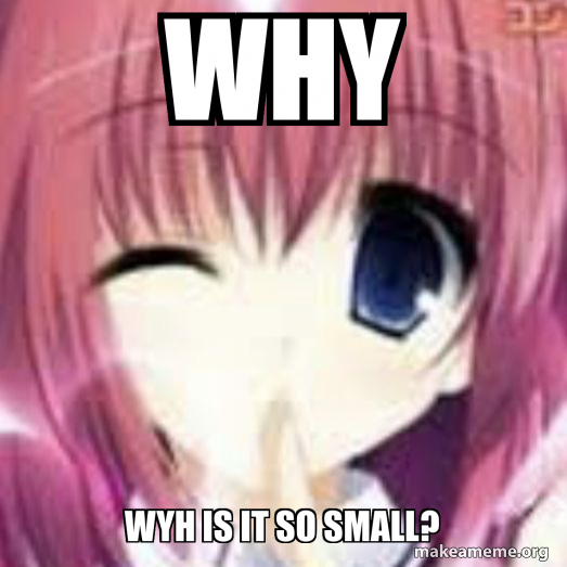 why wyh is it so small? Meme Generator