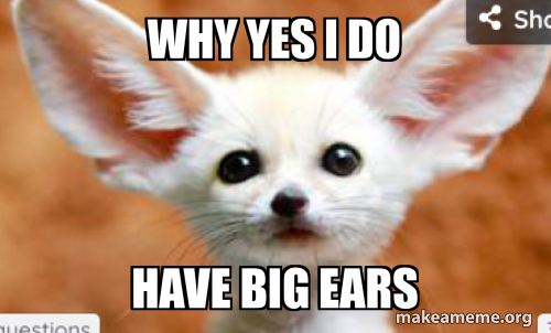 why yes i do have big ears Meme Generator