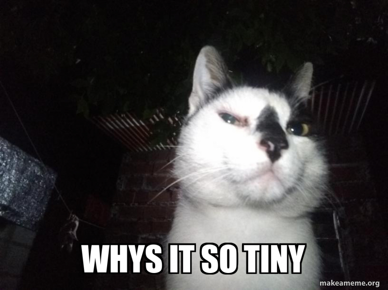 whys it so tiny Meme Generator