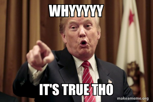 WHYYYYY it's true tho - Donald Trump Says Meme Generator