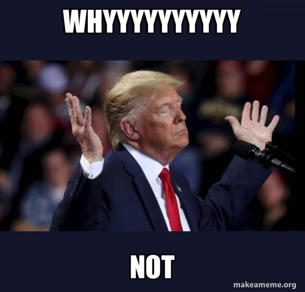 whyyyyyyyyyy not - Trump Impeached Meme Generator
