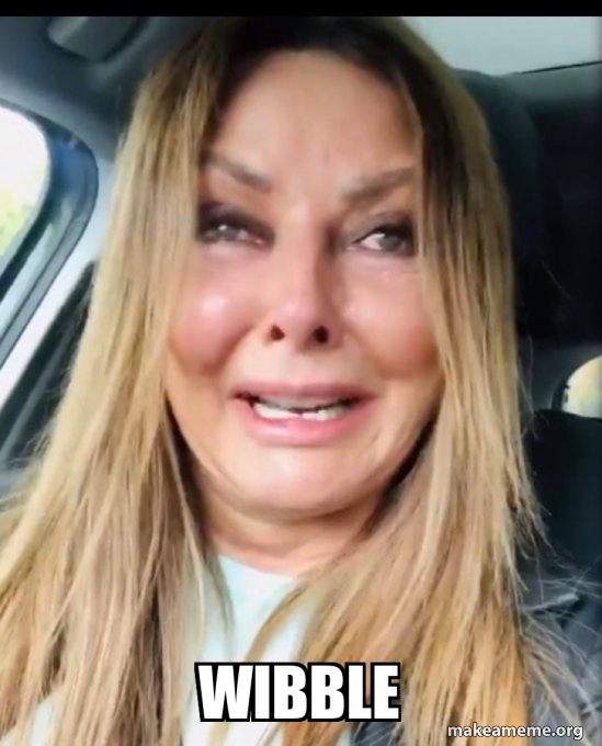 WIBBLE Meme Generator