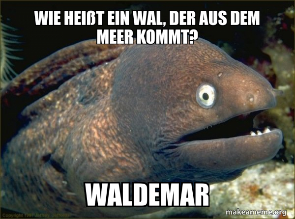 Wie heiÃŸt ein Wal, der aus dem Meer kommt? Waldemar - Bad Joke Eel ...
