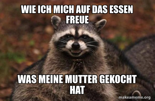 Wie ich mich auf das Essen freue Was meine Mutter gekocht hat - Evil ...