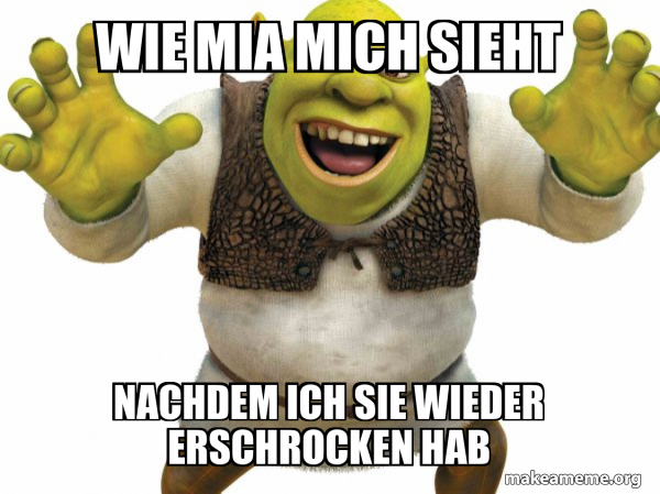 wie Mia mich sieht nachdem ich sie wieder erschrocken hab - Shrek Meme ...
