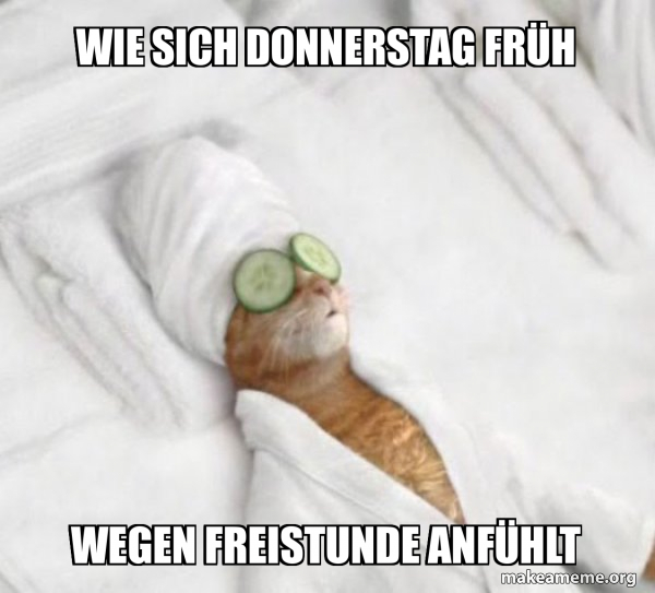 wie sich donnerstag früh wegen freistunde anfühlt - Pampered Cat Meme ...