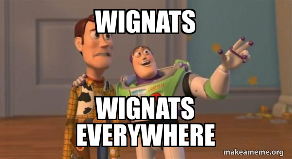 Buzz Lightyear Everywhere Blank