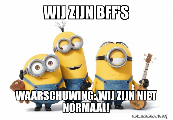 Wij zijn bff's WAARSCHUWING: Wij zijn niet normaal! - Minions Meme ...