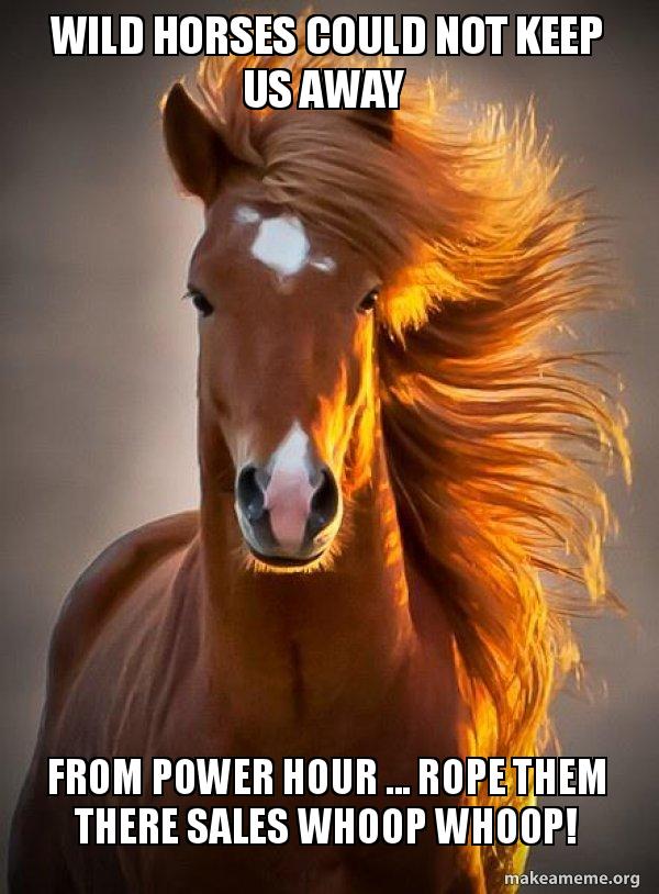 wild horses could not keep us away from power hour ... rope them there ...