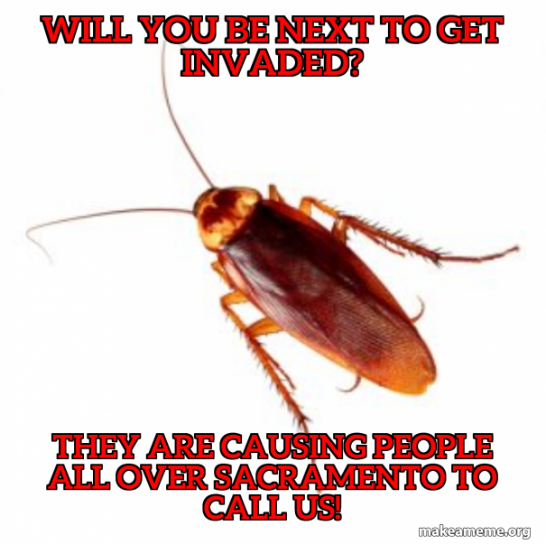 will you be next to get invaded? they are causing people all over ...