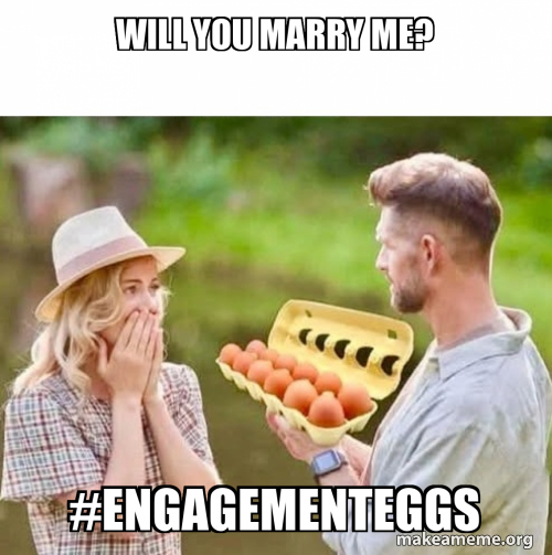 Will you marry me? #engagementeggs Meme Generator