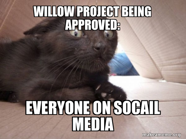 Willow Project being approved: Everyone on Socail media - Schitzo Cat ...