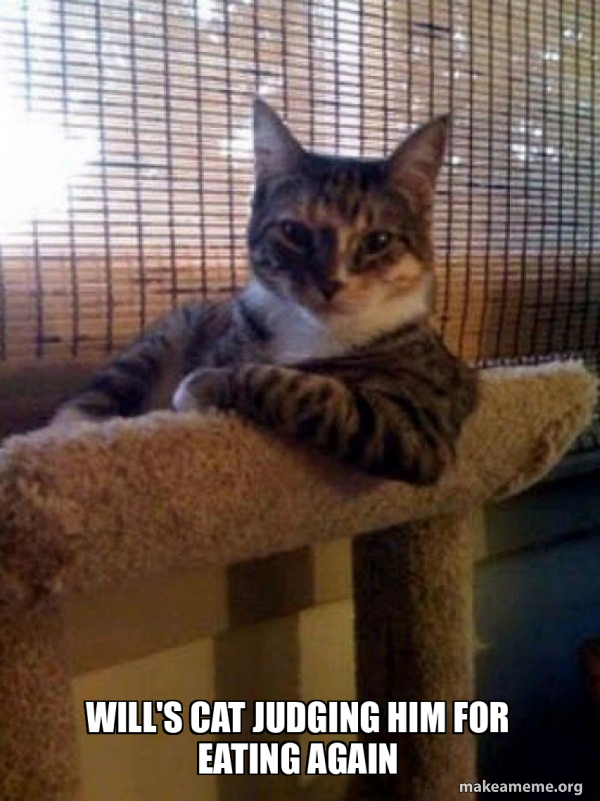 will's cat judging him for eating again - The Most Interesting Cat in ...