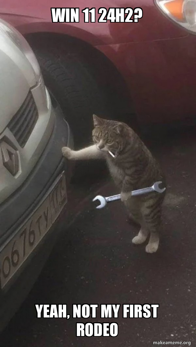 Win 11 24h2? yeah, not my first rodeo - Mechanic Cat Meme Generator