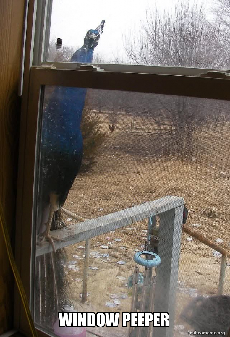 Window peeper Meme Generator