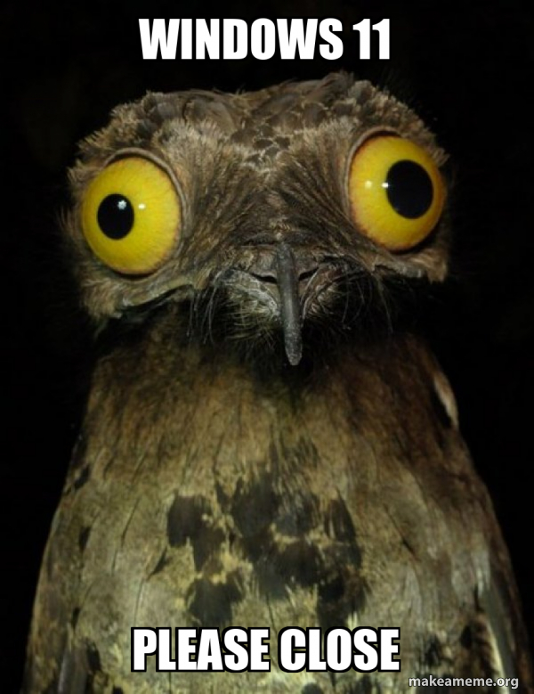 Windows 11 please close - Weird Stuff I do Potoo Meme Generator
