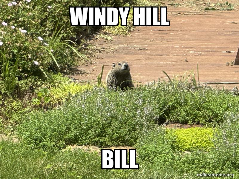 Windy Hill Bill Meme Generator