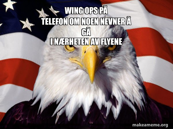 Wing ops på telefon om noen nevner å gå i nærheten av flyene - American ...