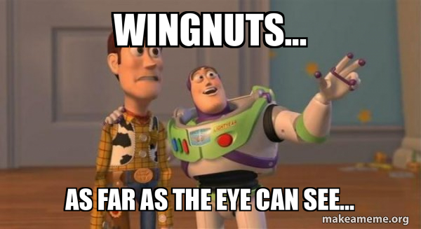 Wingnut Memes Wing Commander Meme Of The Day: Alignment Chart Wing
