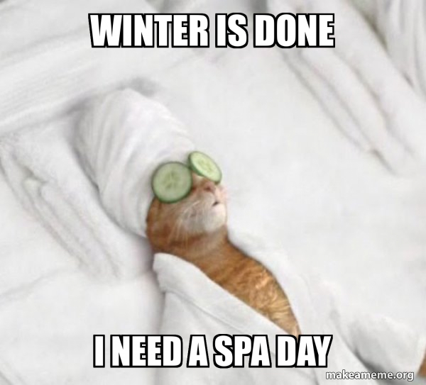 Winter is done I need a spa day - Pampered Cat Meme Meme Generator
