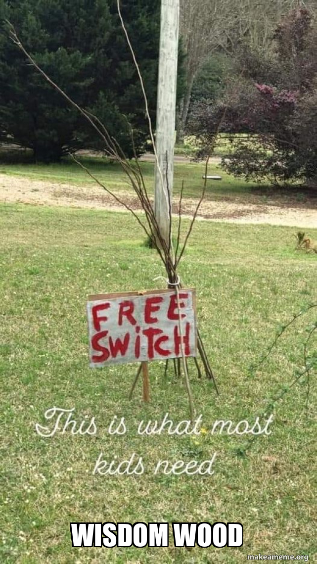 wisdom wood Meme Generator