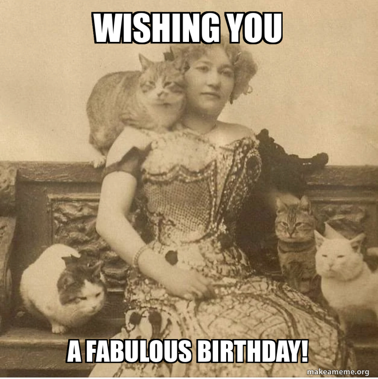 Wishing you A fabulous birthday! Meme Generator