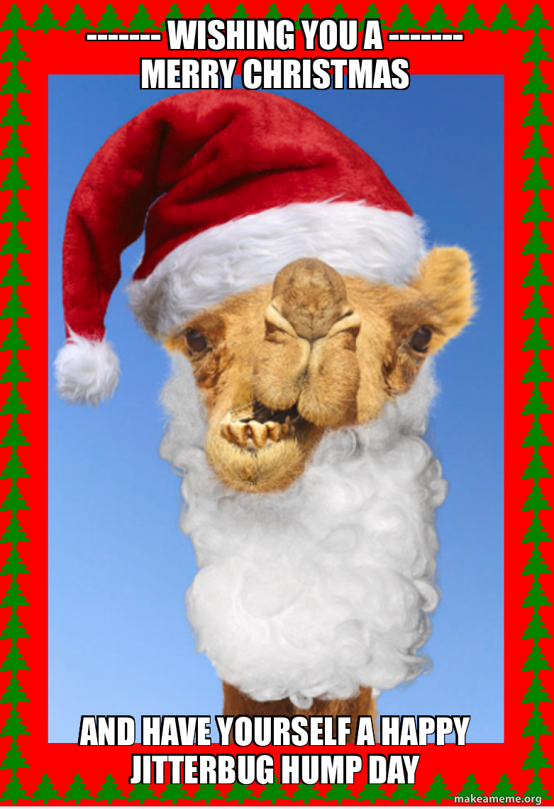 wishing you a ------- merry christmas and have yourself a happy ...