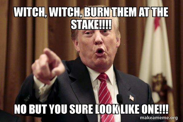 witch, witch, burn them at the stake!!!! No but you sure look like one ...