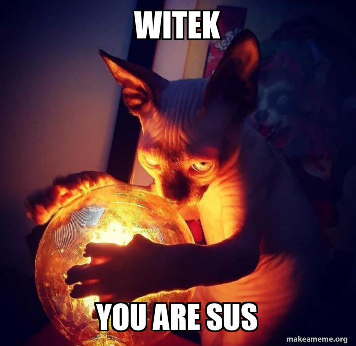 Witek You are sus Meme Generator