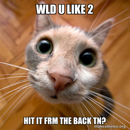 wld u like 2 hit it frm the back tn? Meme Generator