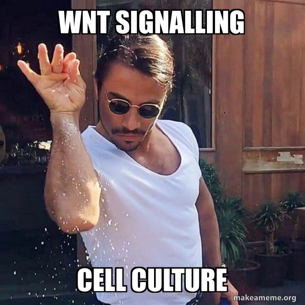 WNT signalling Cell Culture - SaltBae or Salt Bae Meme Generator