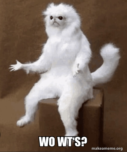 Wo wt‘s? Meme Generator