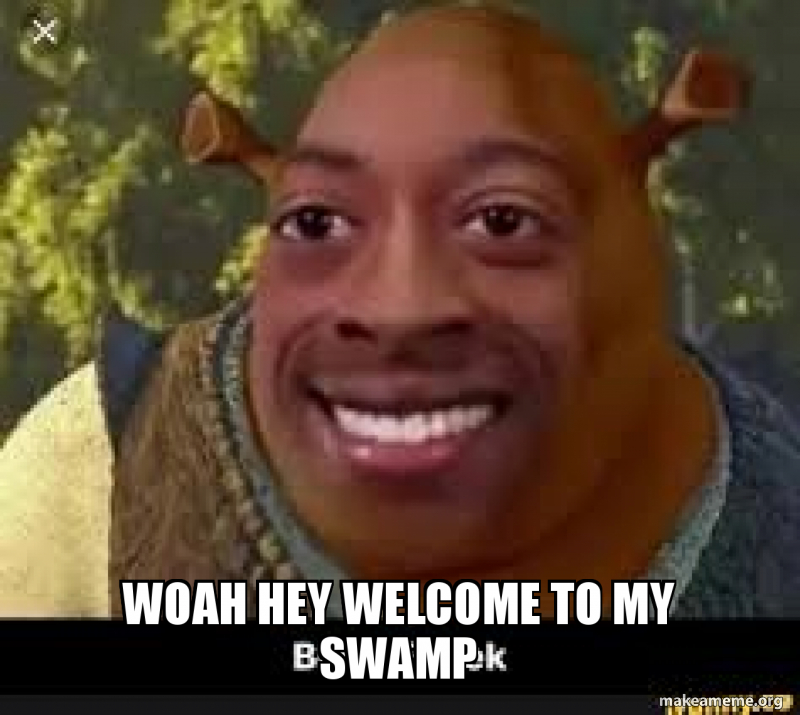 Woah Meme Woah Hey Welcome To My Swamp Meme Generator