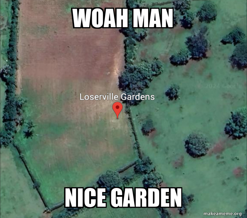 WOAH MAN NICE GARDEN Meme Generator