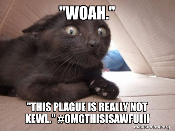 "WOAH." "THIS PLAGUE IS REALLY NOT KEWL." #OmgThisIsAwful!! - Schitzo ...