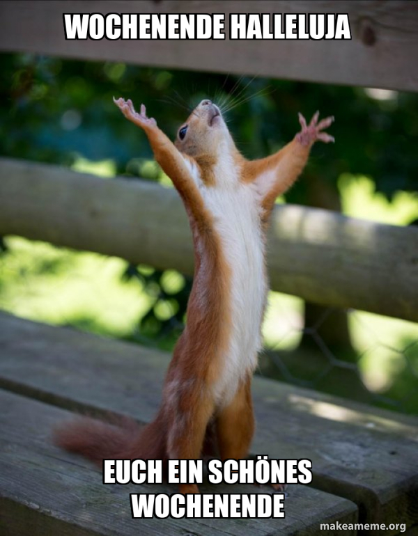 Wochenende Halleluja Euch ein Schönes Wochenende - Happy Squirrel Meme ...