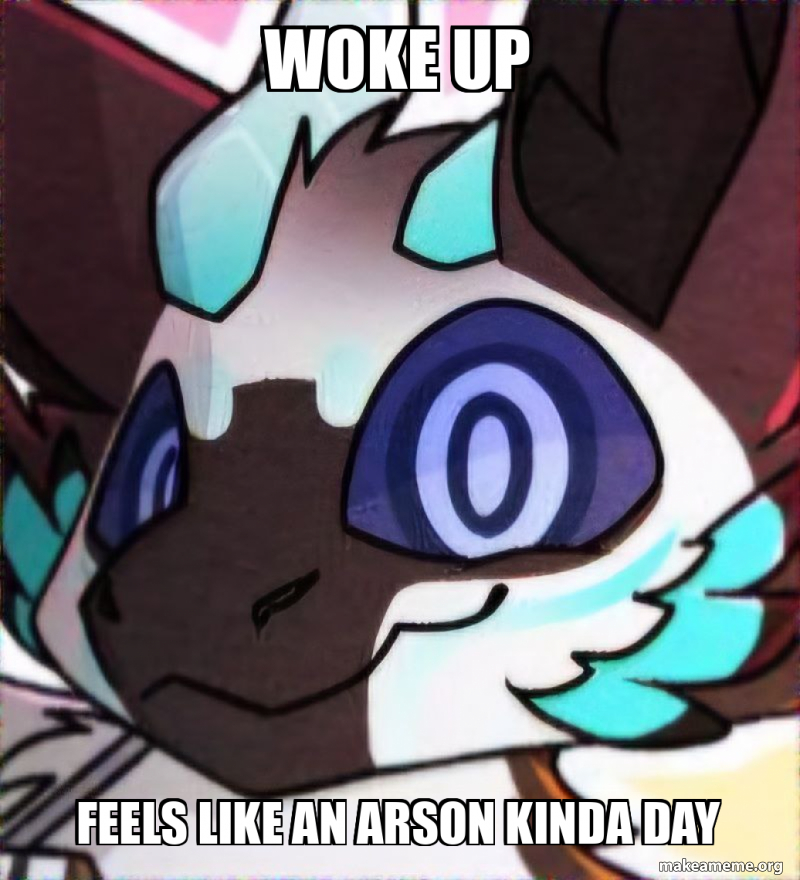 Woke up Feels like an arson kinda day Meme Generator