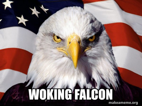 Woking Falcon - American Pride Eagle Meme Generator