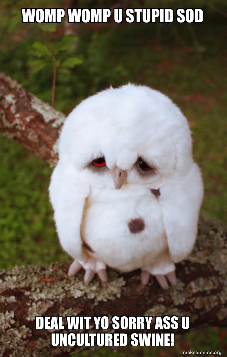 WOMP WOMP U STUPID SOD DEAL WIT YO SORRY ASS U UNCULTURED SWINE! - Sad ...