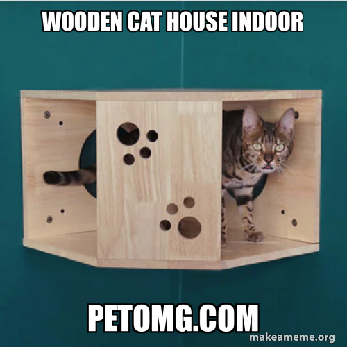 Wooden Cat House Indoor petomg.com - Wooden Cat House Indoor Meme Generator