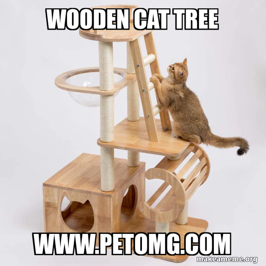 Wooden Cat Tree www.petomg.com - petomg.com Meme Generator