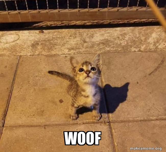 woof Meme Generator