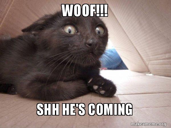 WOOF!!! SHH He's Coming - Schitzo Cat Meme Generator