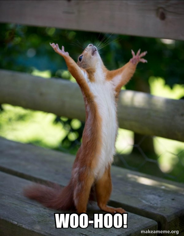 Woo-hoo! - Happy Squirrel Meme Generator