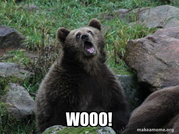 Wooo! - Sarcastic Bear Meme Generator
