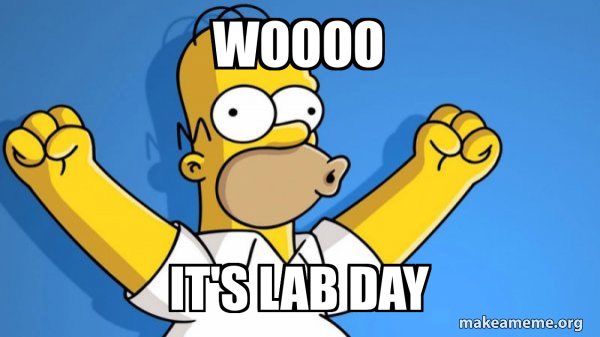 WOOOO IT'S LAB DAY - Happy Homer Meme Generator