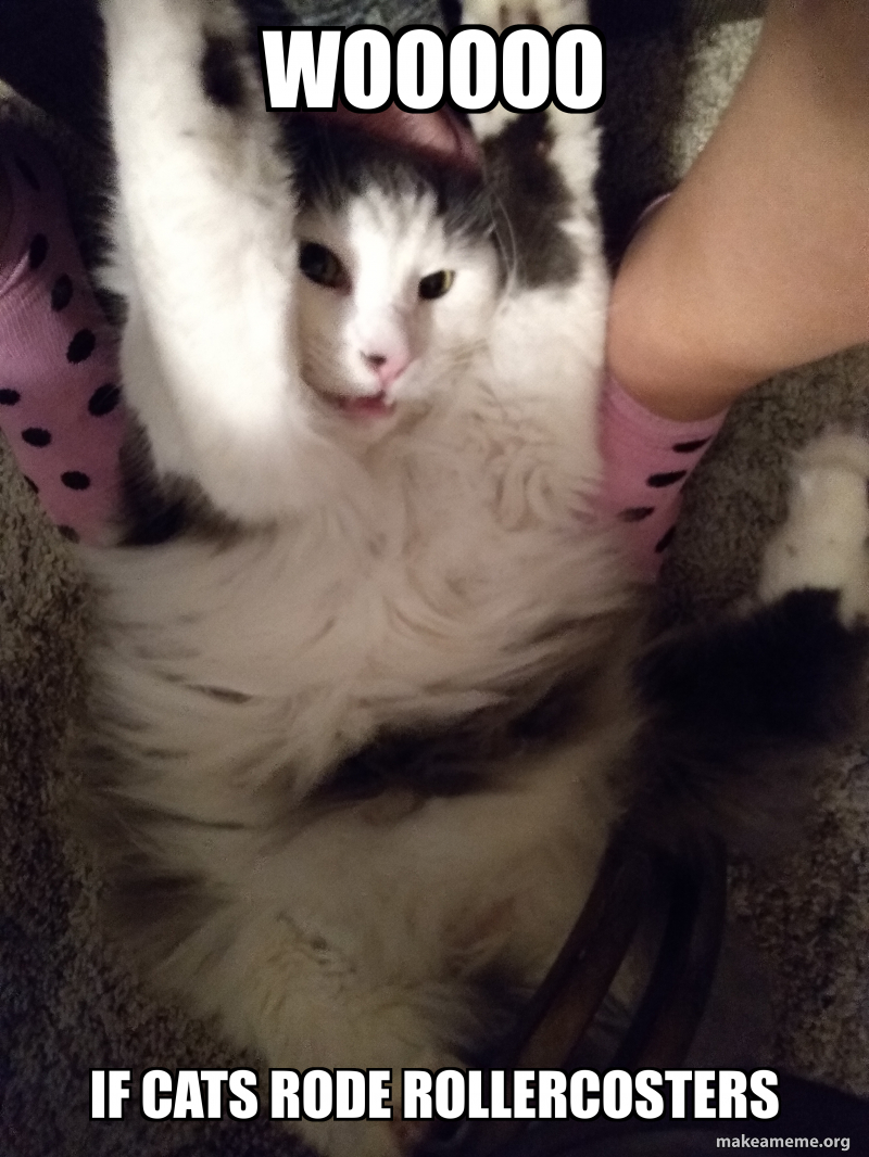 Wooooo If CATS rode rollercosters Meme Generator