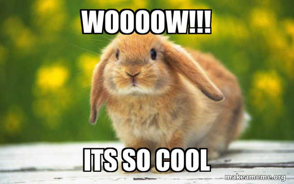 woooow!!! its so cool - Regretful Rabbit Meme Generator