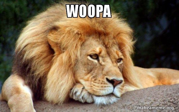 Woopa - Confession Lion Meme Generator